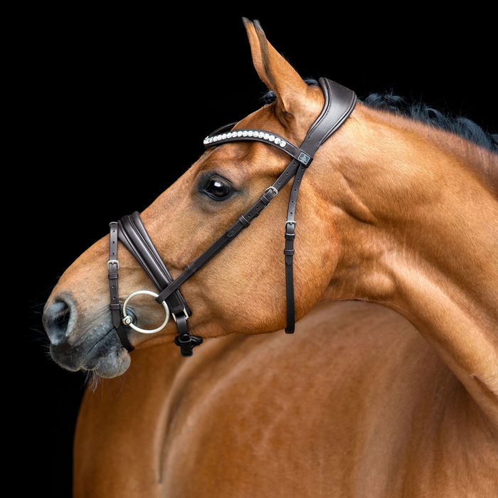 SD Design Bellissimo suitset, ruskea, full & x-full :: HevosOnni