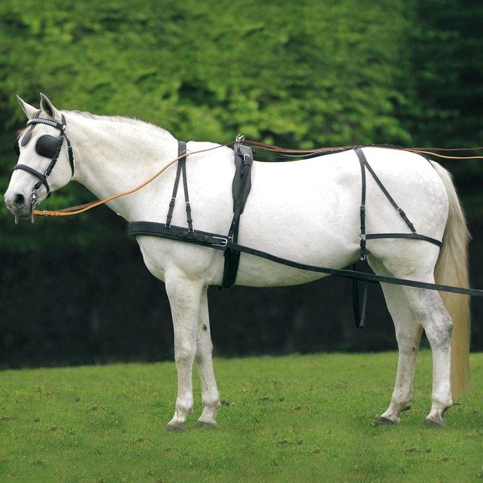 Waldhausen Single nahkavaljaat, koot : cob, full, x-full ( tilattavissa ...